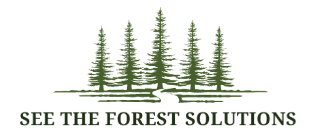 Connect – See The Forest Solutions